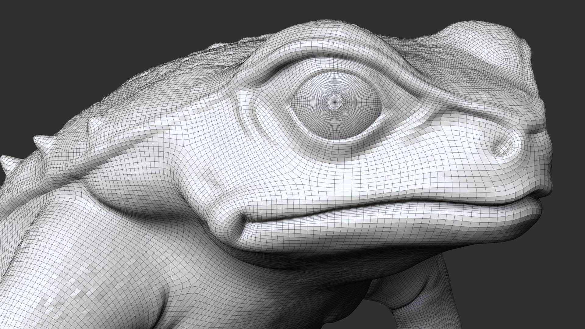 Spiny Earth Frog 3D Model - TurboSquid 1916162