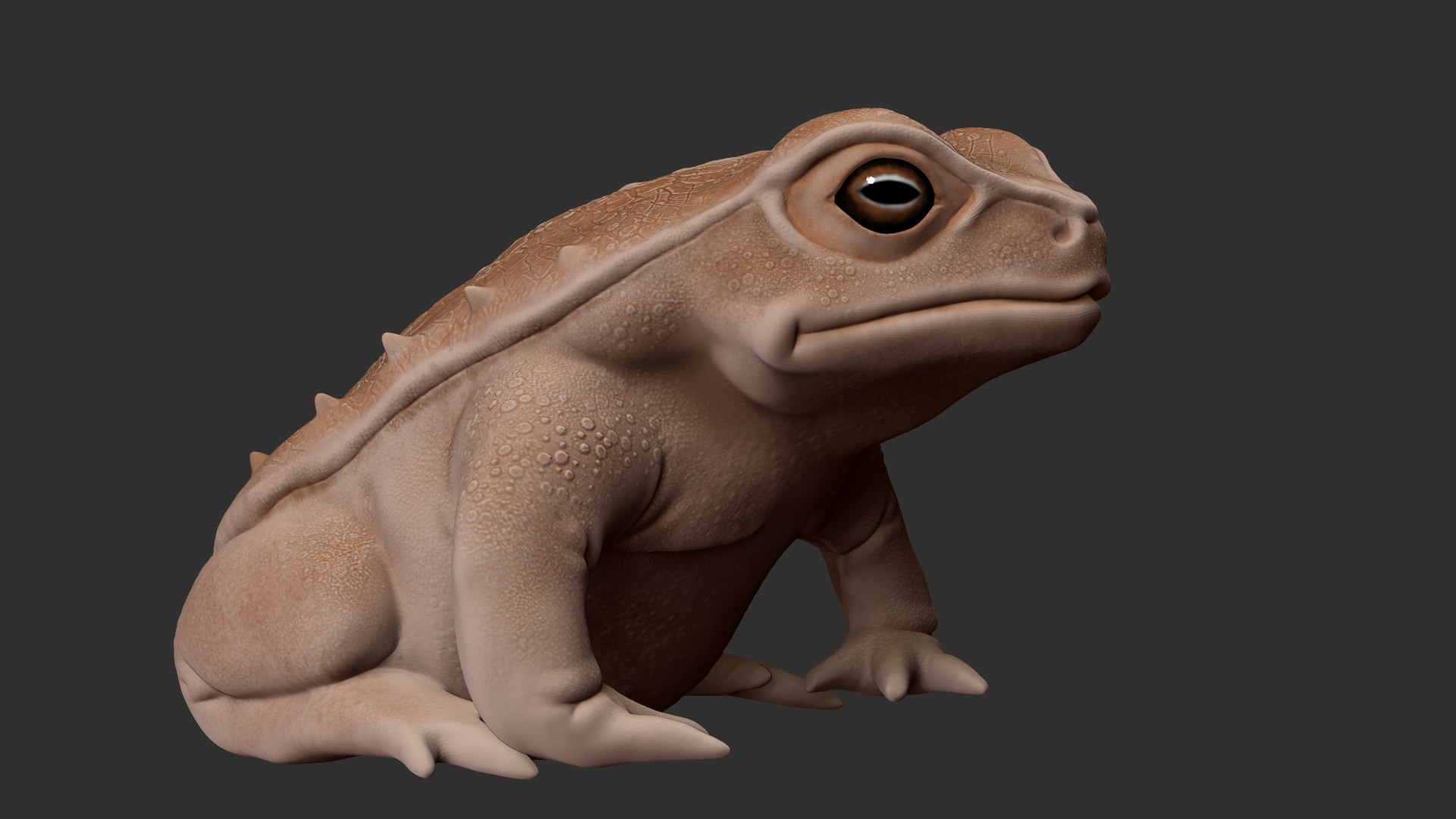 Spiny Earth Frog 3D Model - TurboSquid 1916162