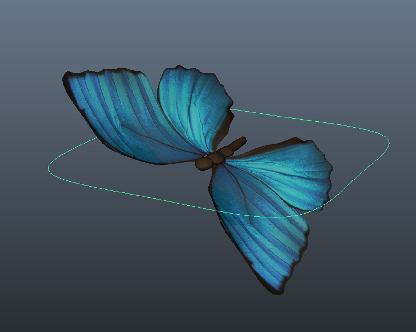 Rig Butterfly 3D Model - TurboSquid 1318050