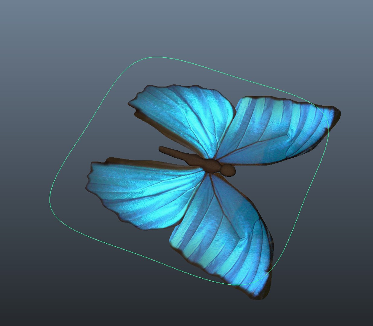 Rig Butterfly 3D Model - TurboSquid 1318050