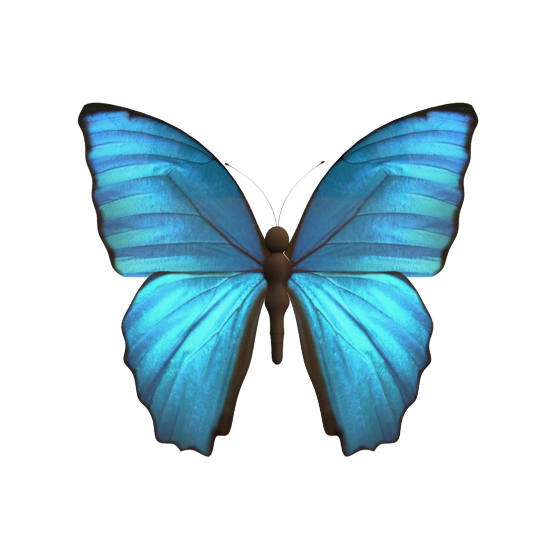 Rig Butterfly 3D Model - TurboSquid 1318050