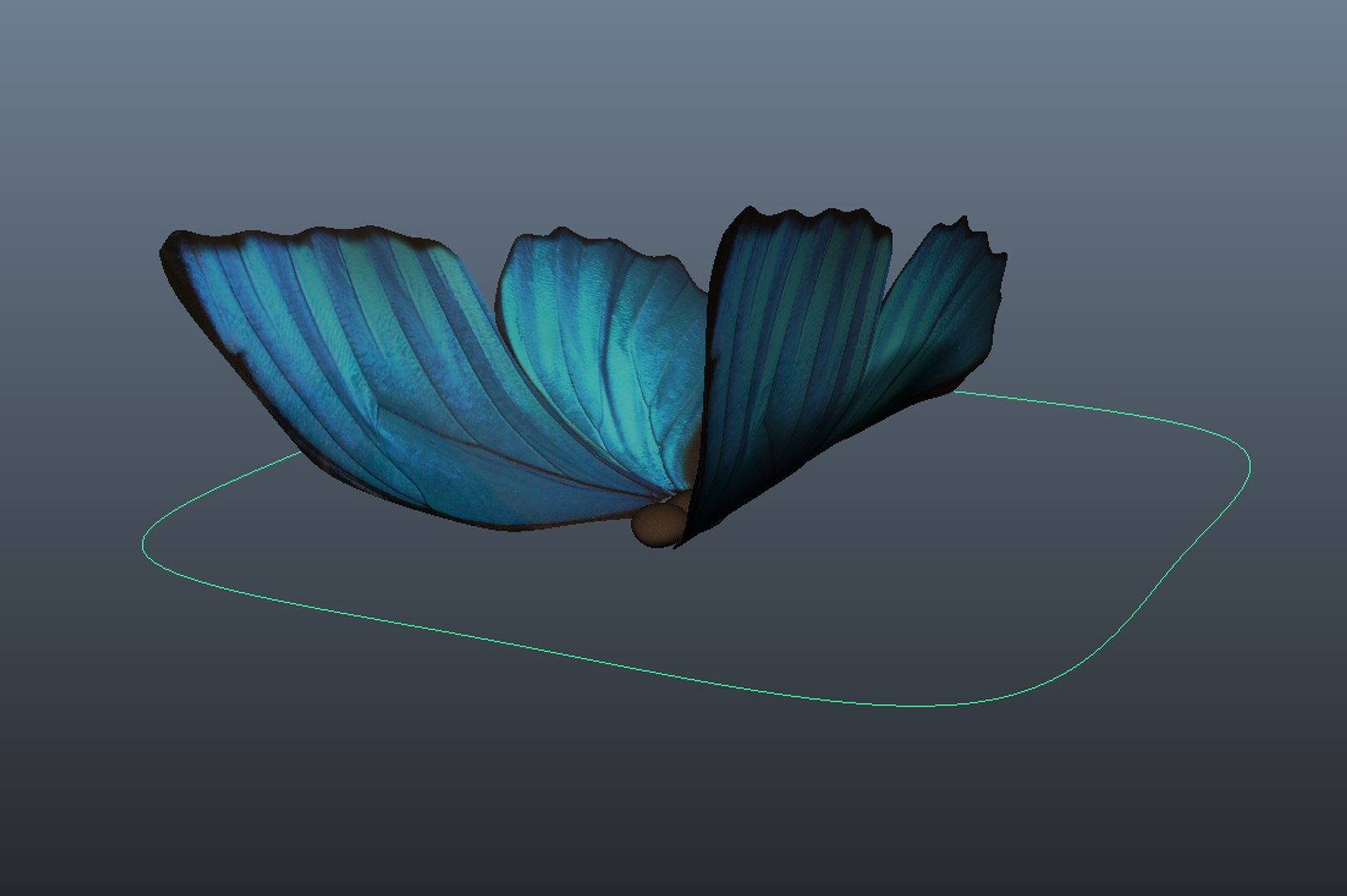 Rig Butterfly 3D Model - TurboSquid 1318050