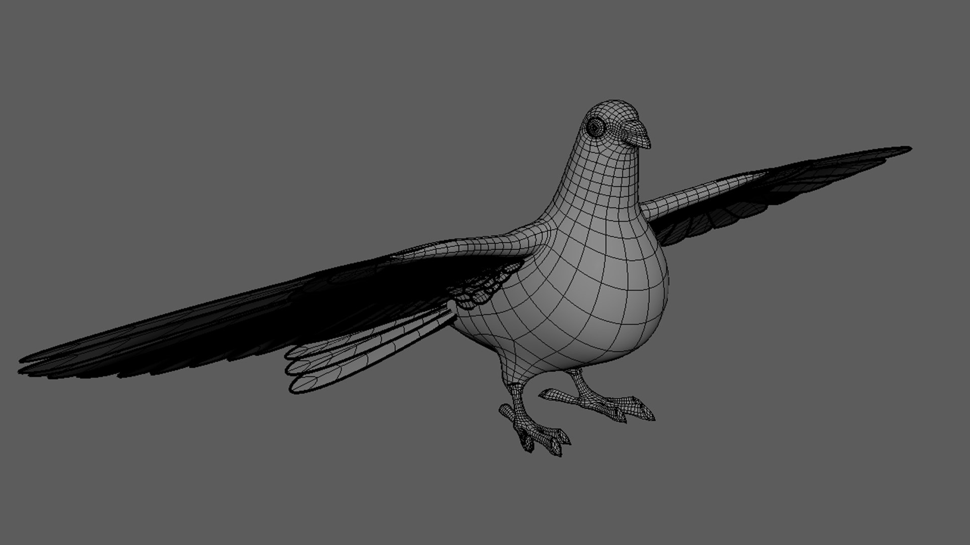 Pigeon 3D Model Model - TurboSquid 1991030