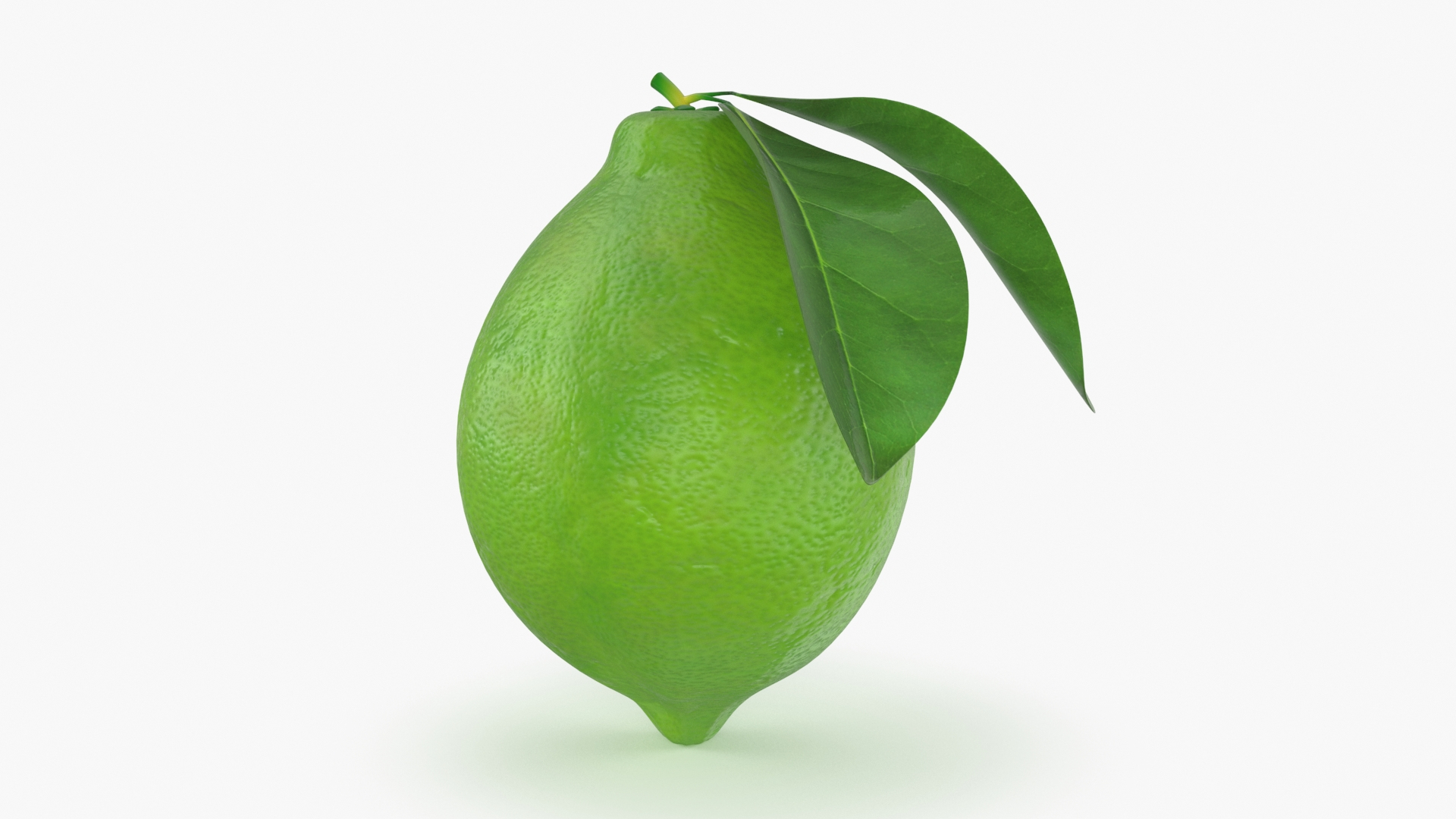 3D Model Whole Lime With Leaf - TurboSquid 1988714