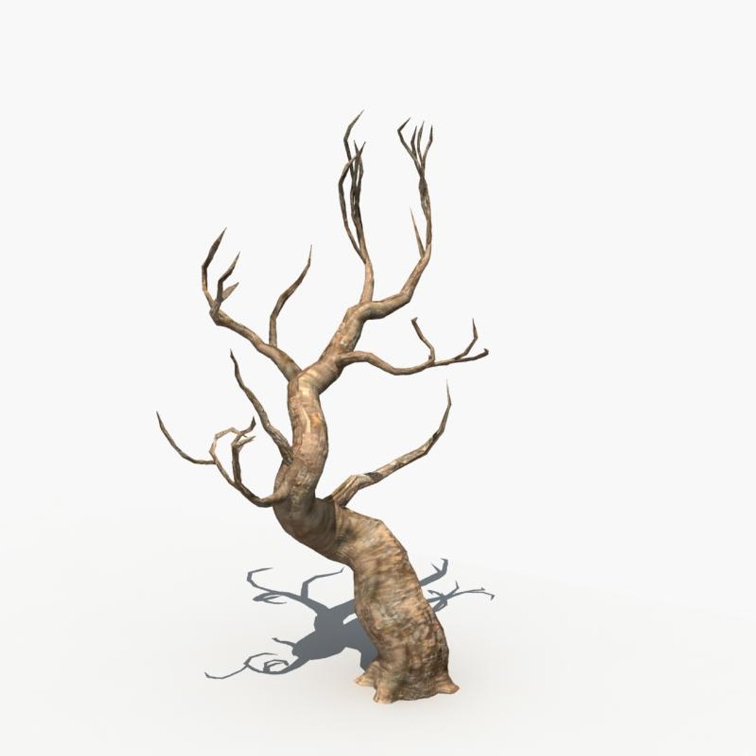 3d scary tree dry