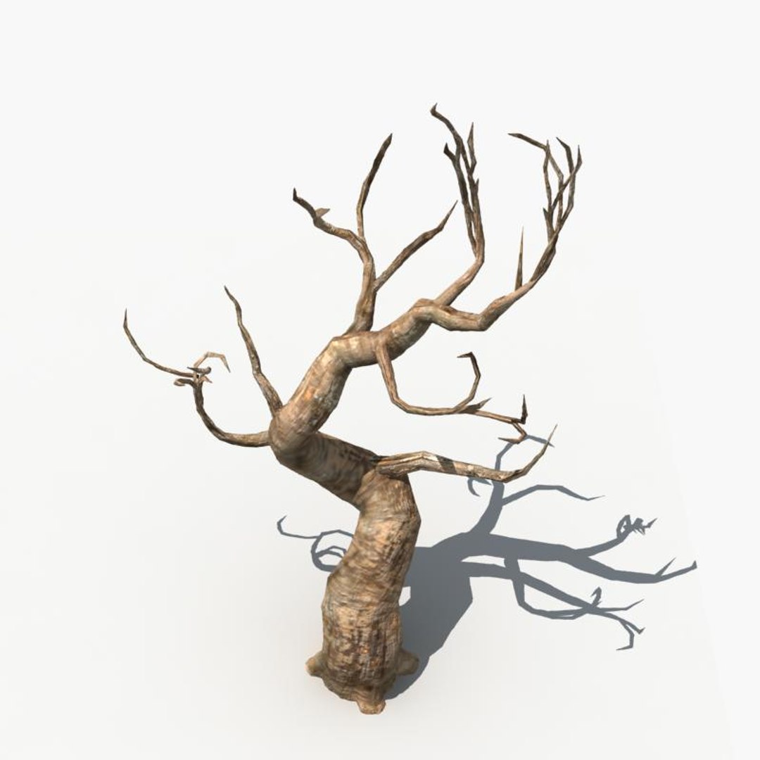 3d scary tree dry