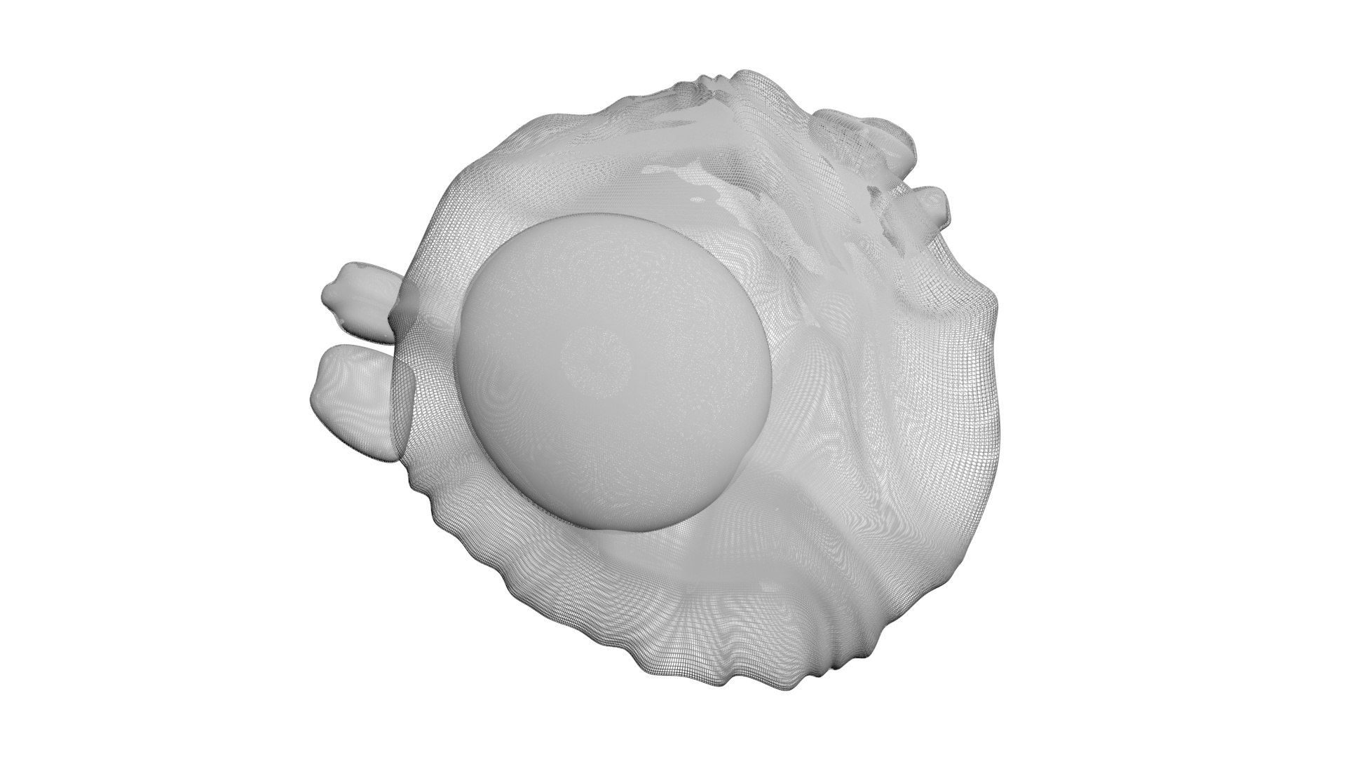 Chicken Eye 3D Model - TurboSquid 2249526