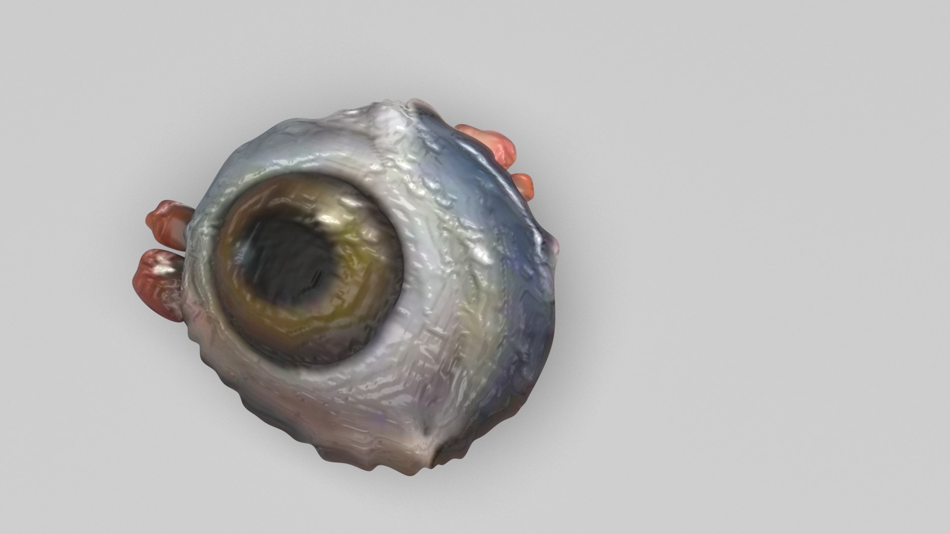 Chicken Eye 3D Model - TurboSquid 2249526
