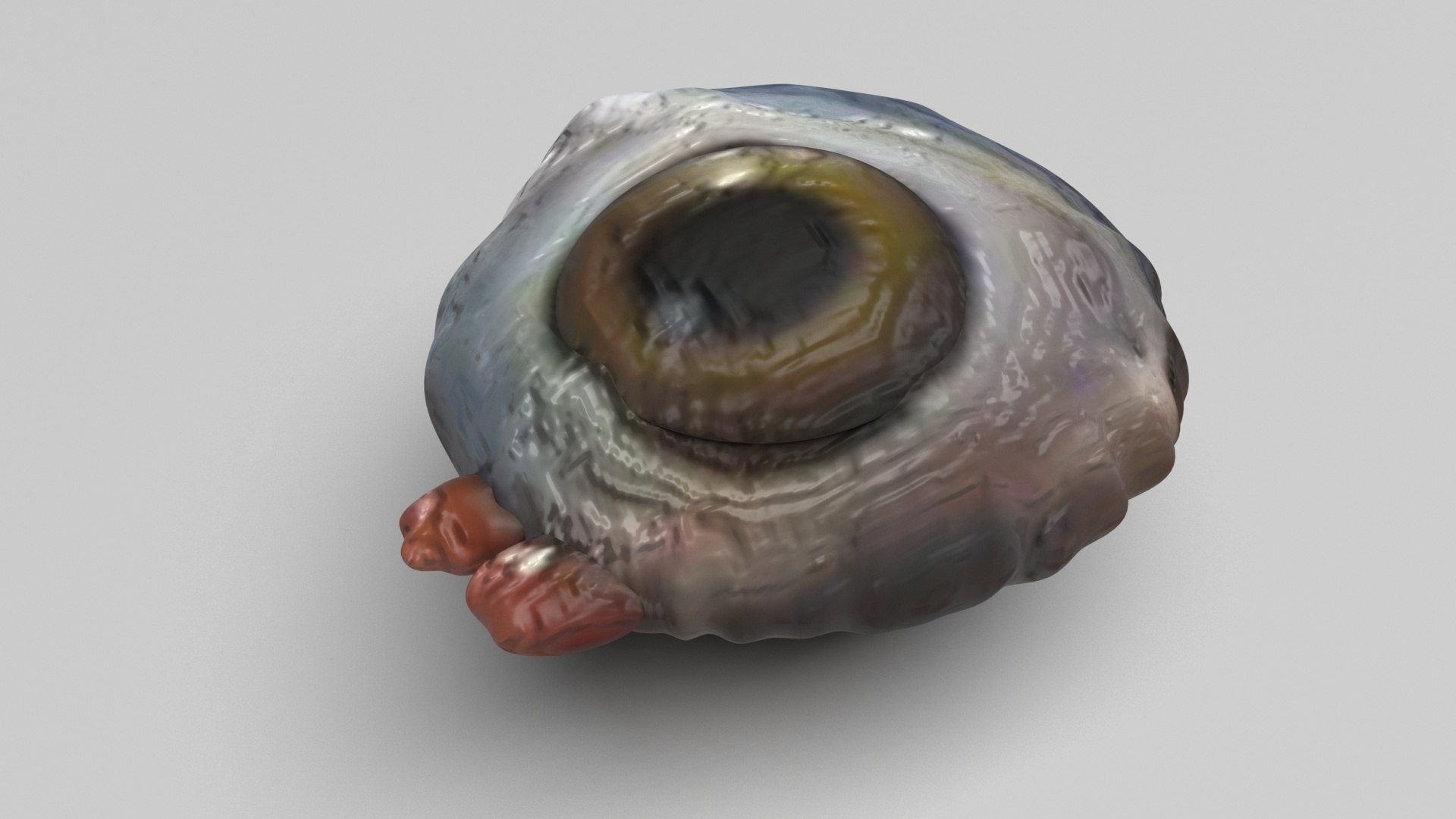 Chicken Eye 3D Model - TurboSquid 2249526