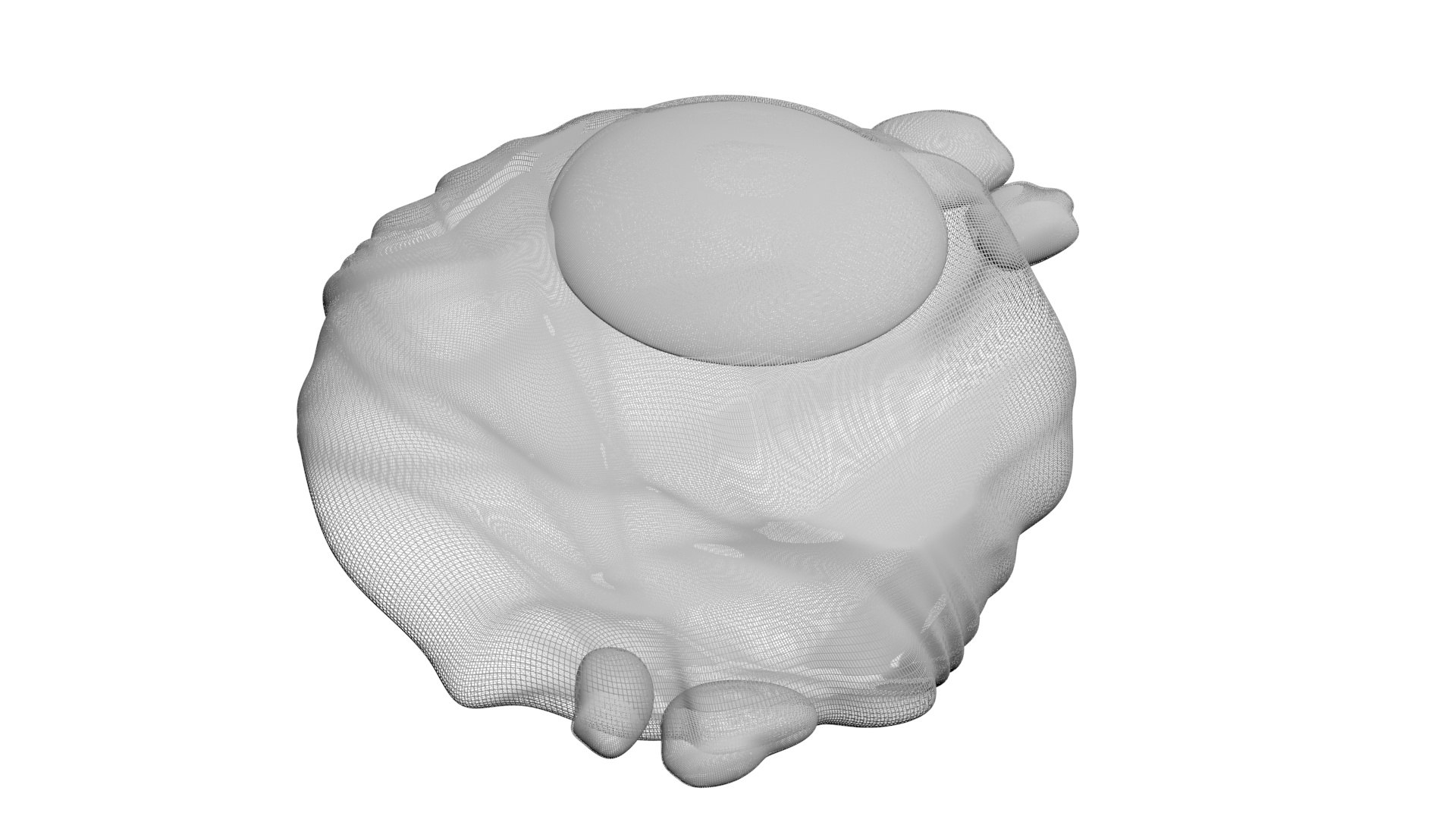 Chicken Eye 3D Model - TurboSquid 2249526