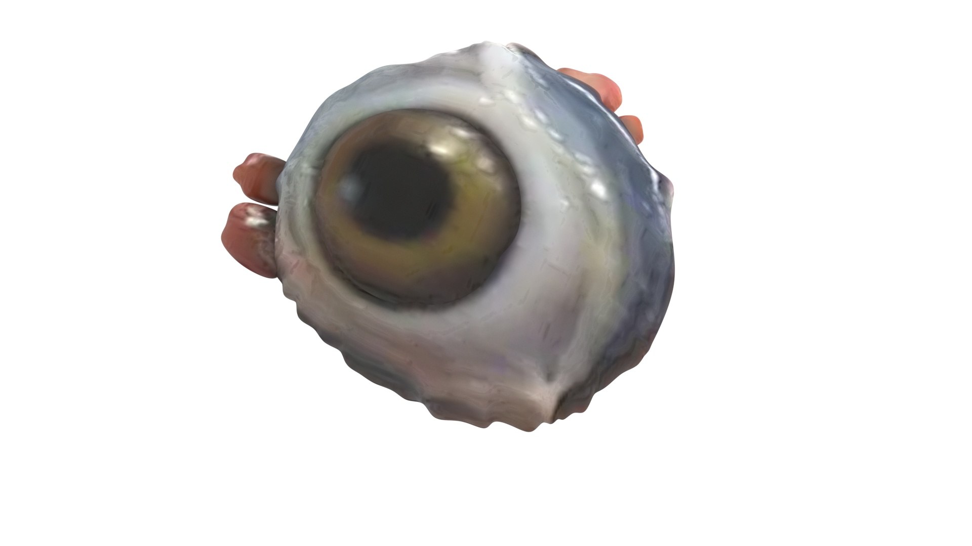 Chicken Eye 3D Model - TurboSquid 2249526