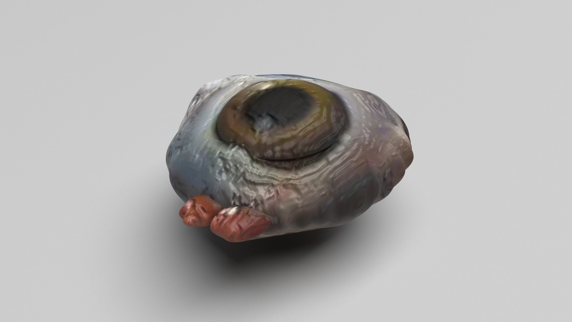 Chicken Eye 3D Model - TurboSquid 2249526