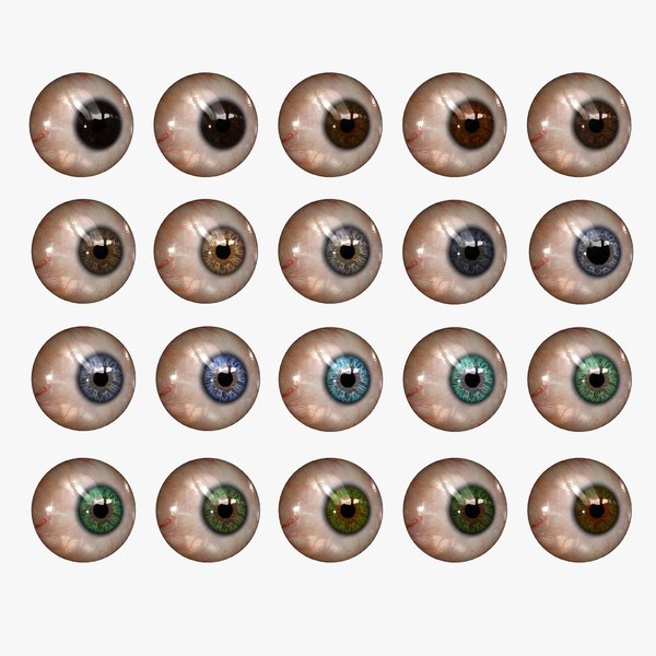 eye cornea 3d model
