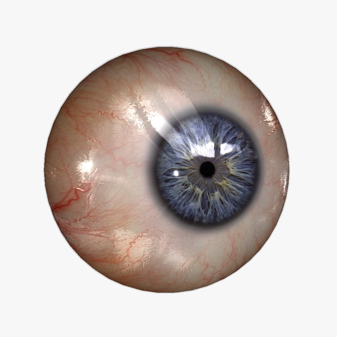 Realistic Human Eye 20 3d Model