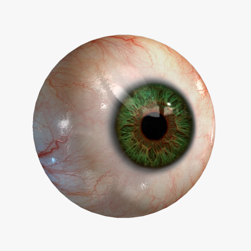 realistic human eye 20 3d model