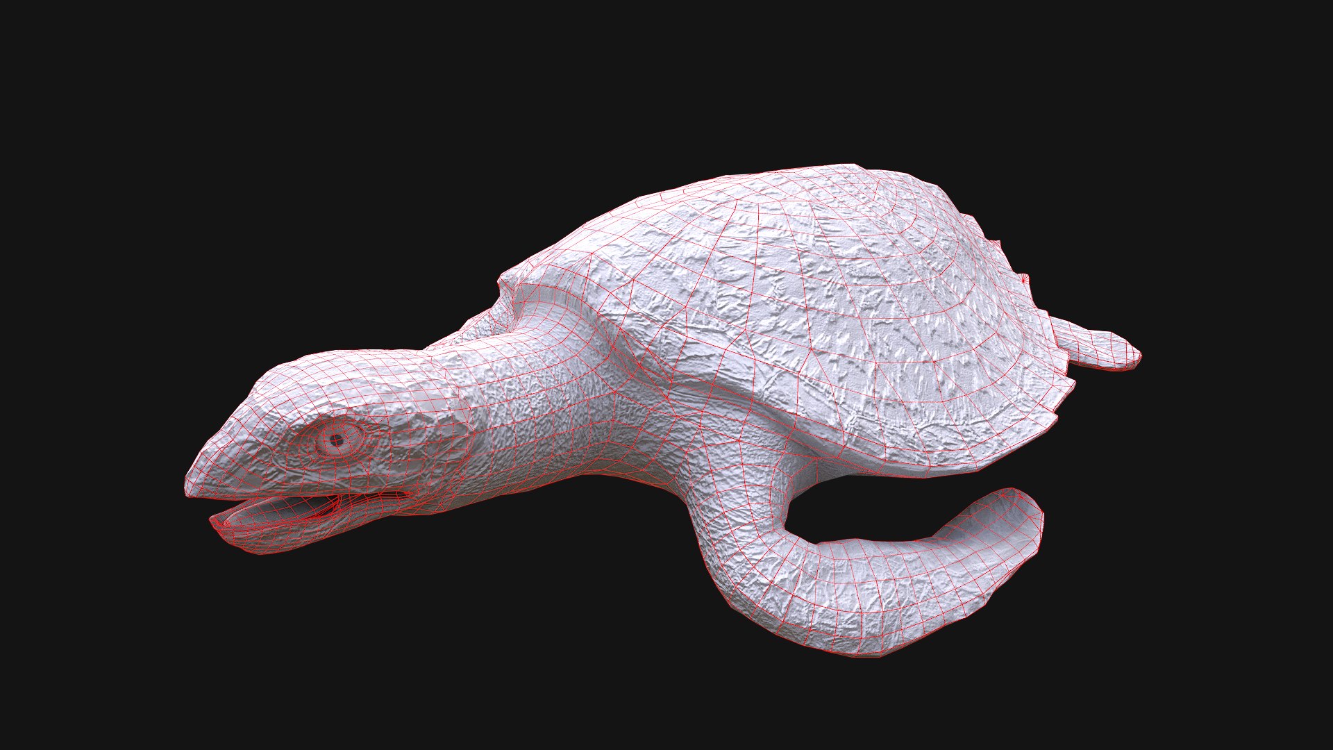 3D Turtle - TurboSquid 2064431