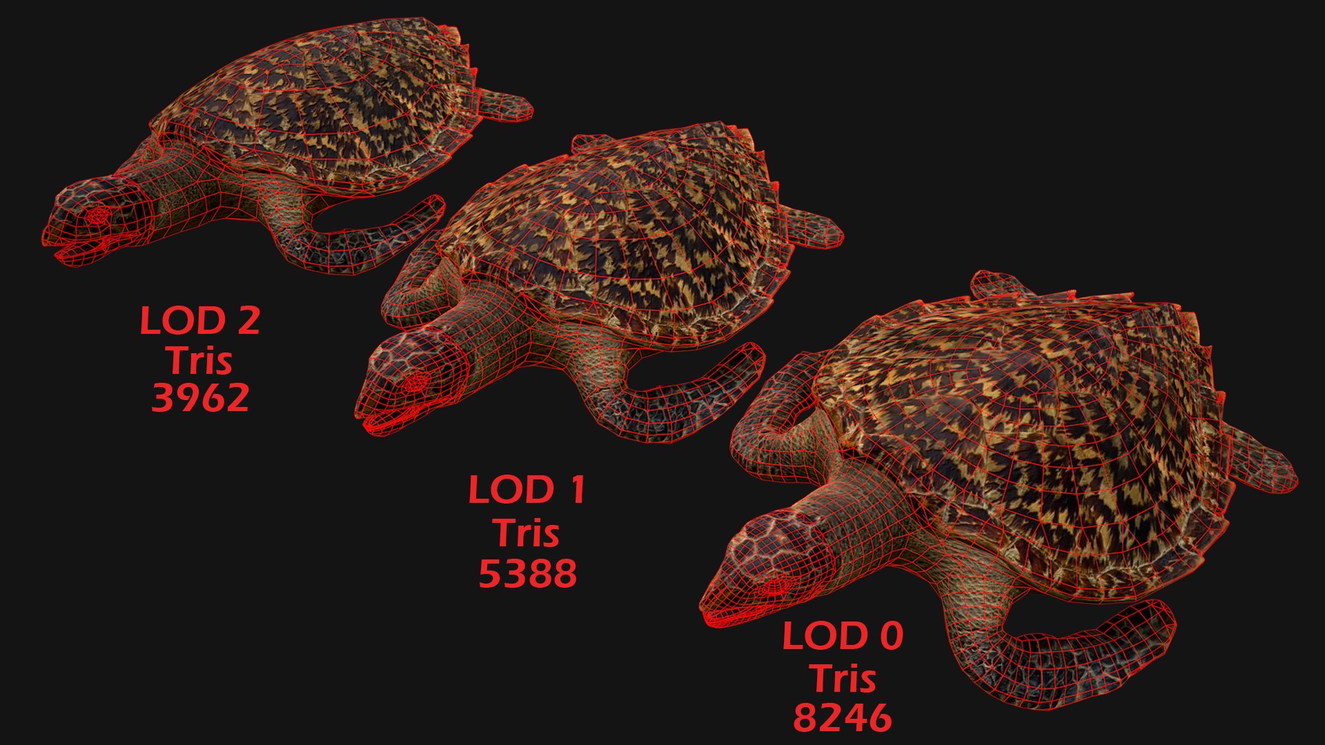 3D Turtle - TurboSquid 2064431