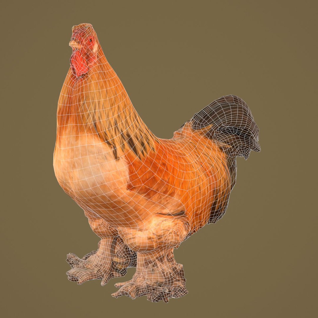 3D Model Animal Digital Photogrammetry - TurboSquid 1162978