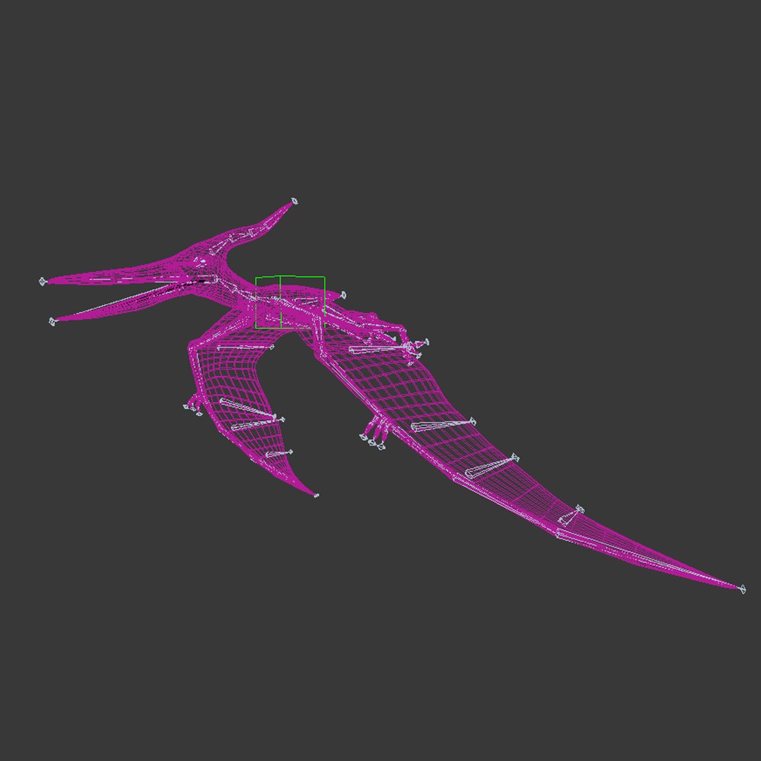 3d Pteranodon Dinosaur Model