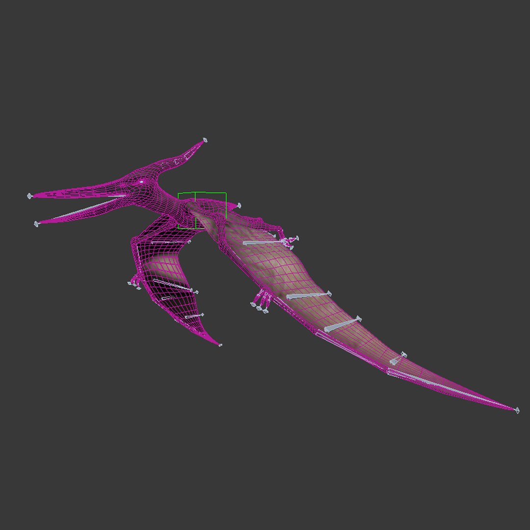 3d Pteranodon Dinosaur Model