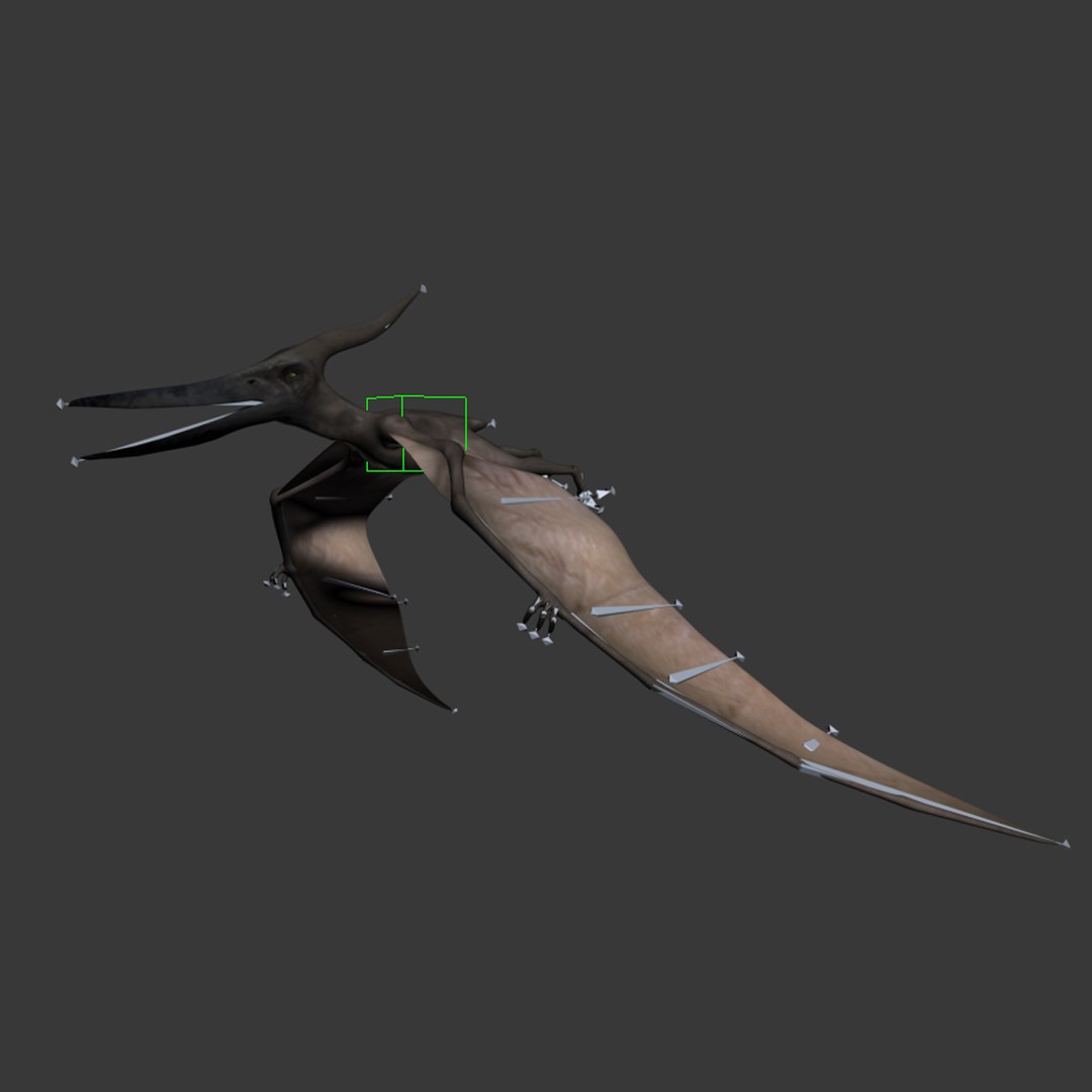 3d Pteranodon Dinosaur Model