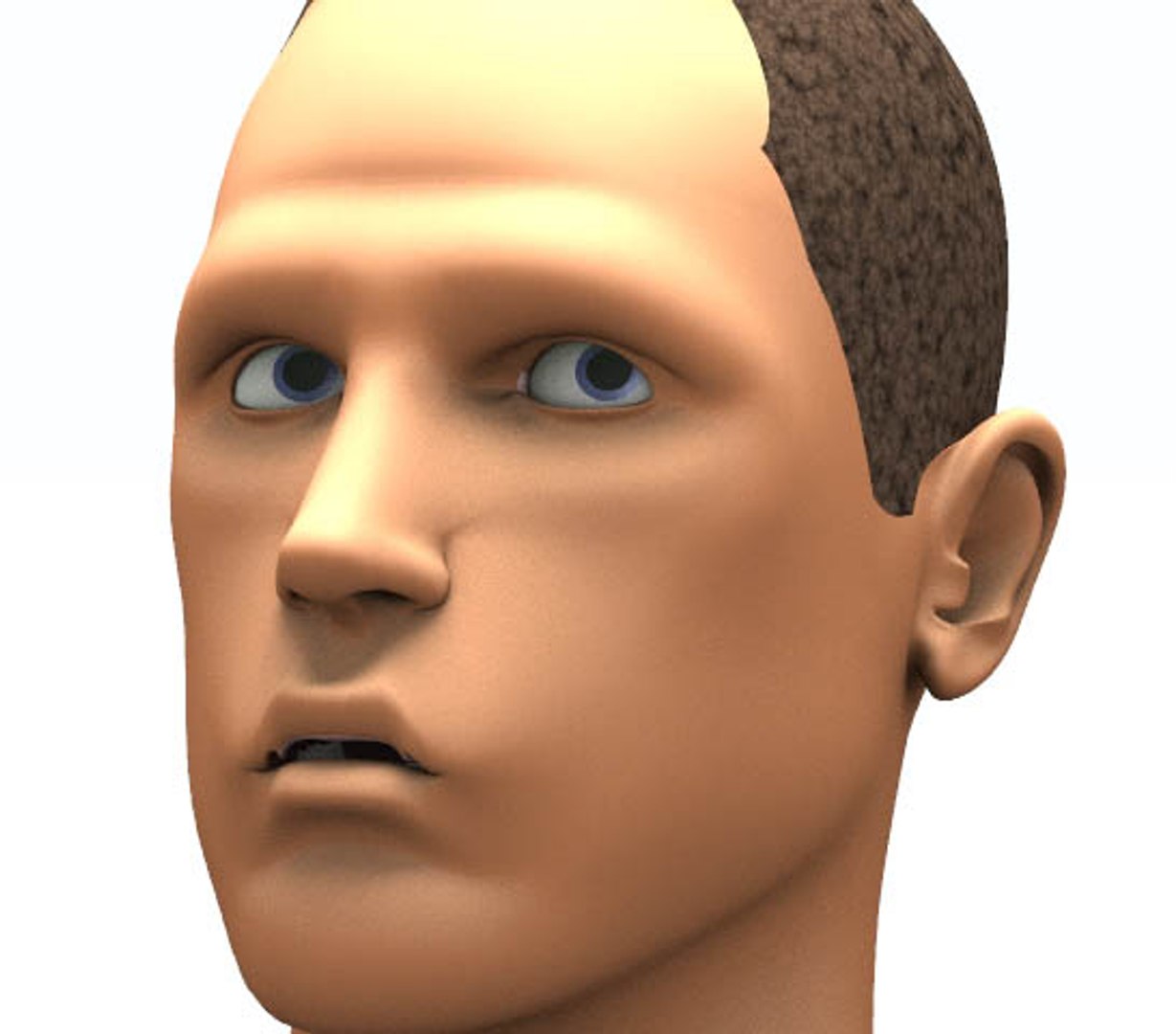 male human head 3d model