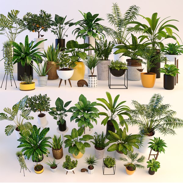 Plants interior black houseplants 3D model - TurboSquid 1625985