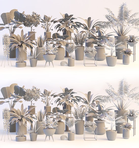 3d model plants
