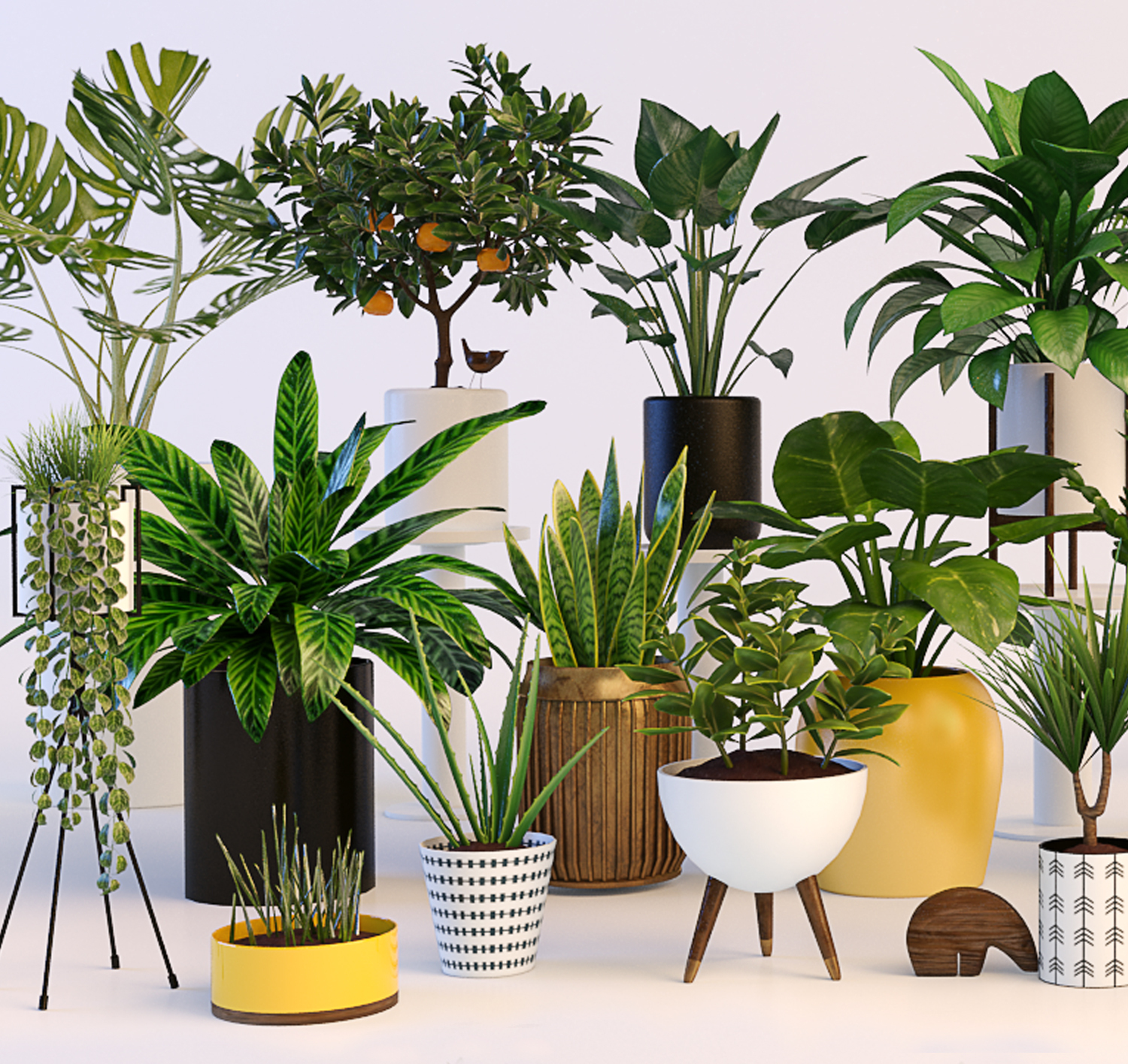 3d model plants