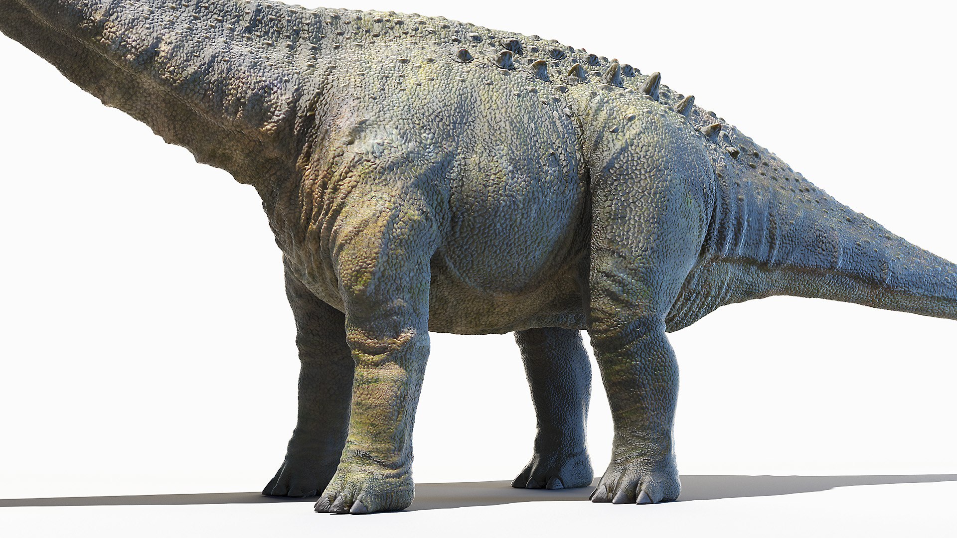 Apatosaurus Animated 3D Model - TurboSquid 1721414