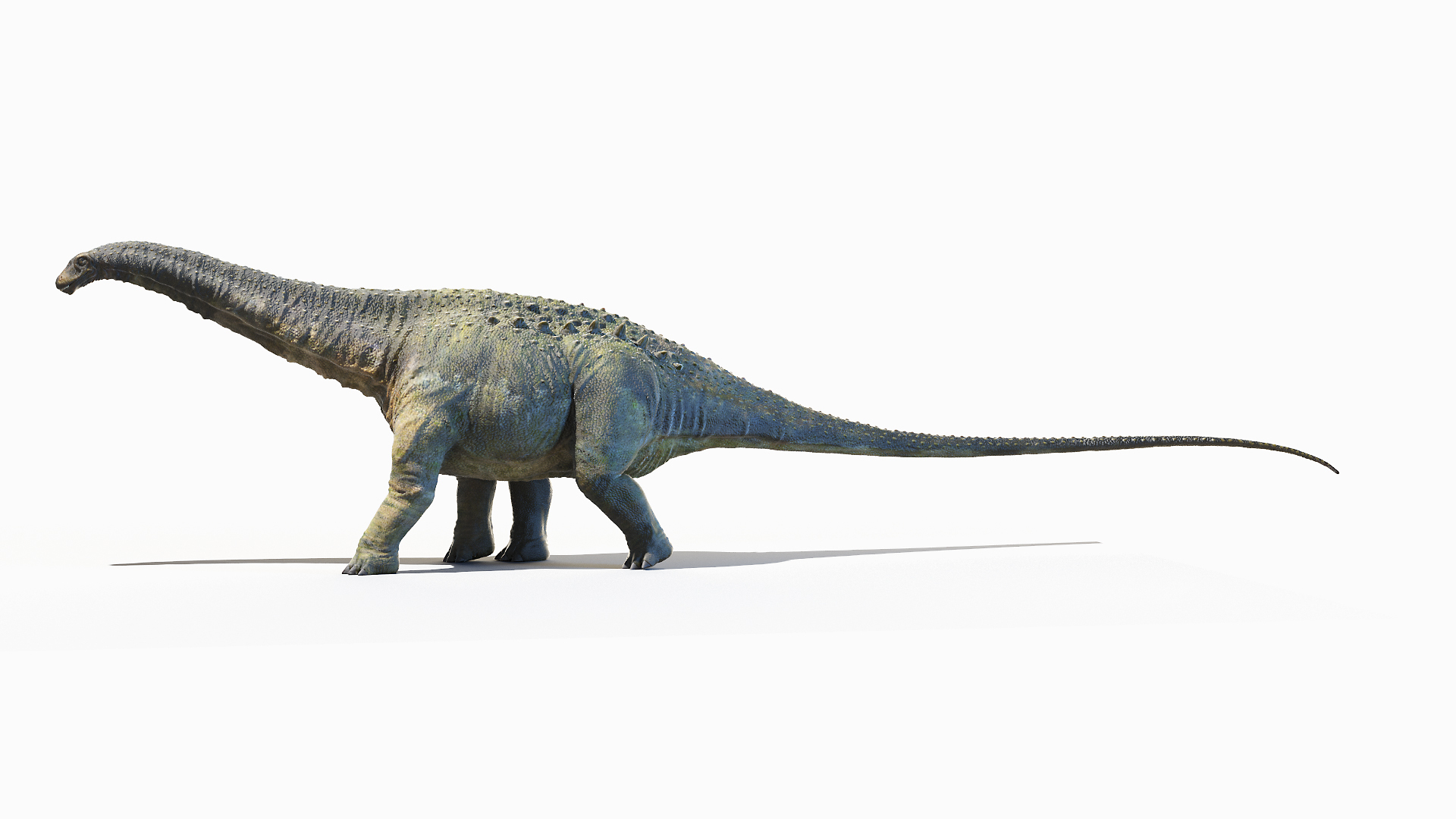 Apatosaurus Animated 3D Model - TurboSquid 1721414
