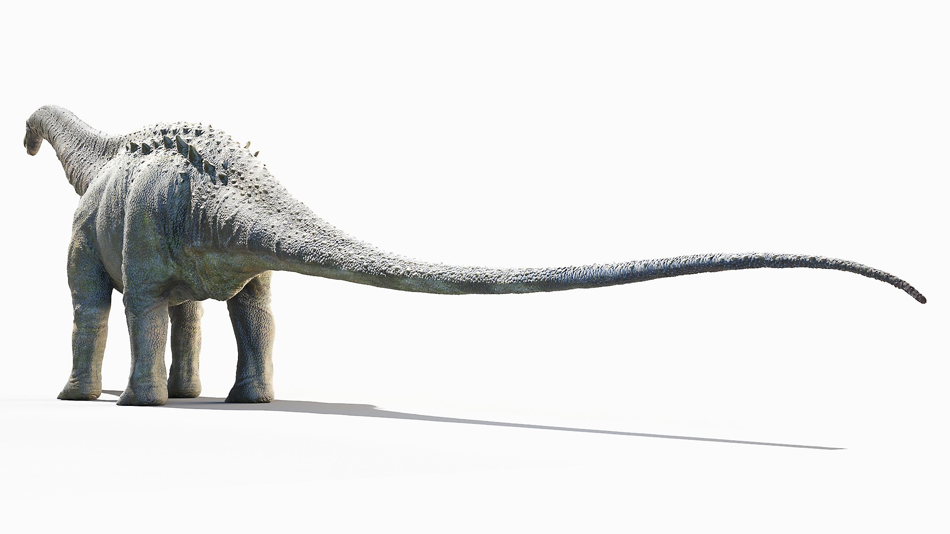 Apatosaurus Animated 3D Model - TurboSquid 1721414