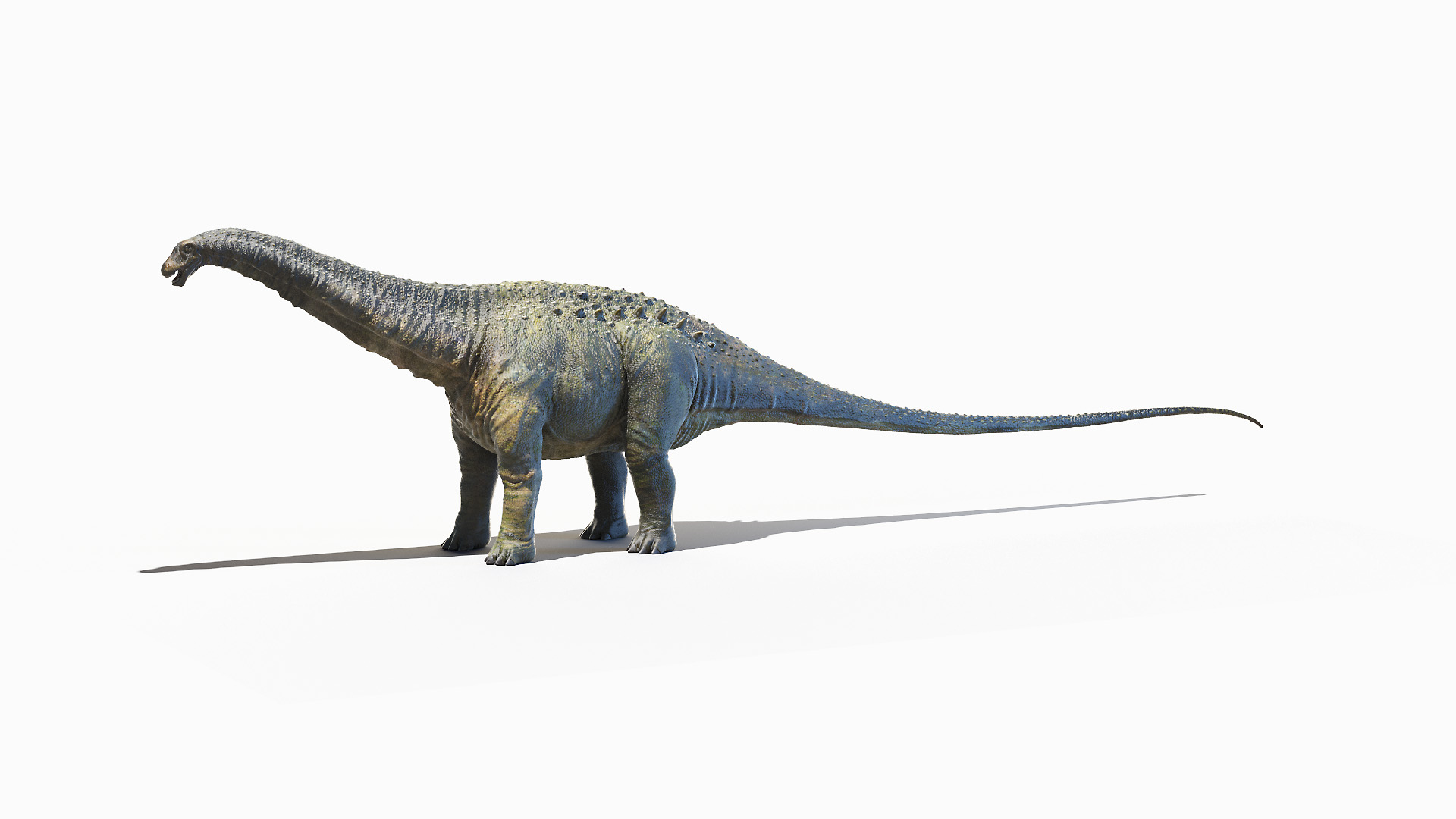 Apatosaurus Animated 3D Model - TurboSquid 1721414