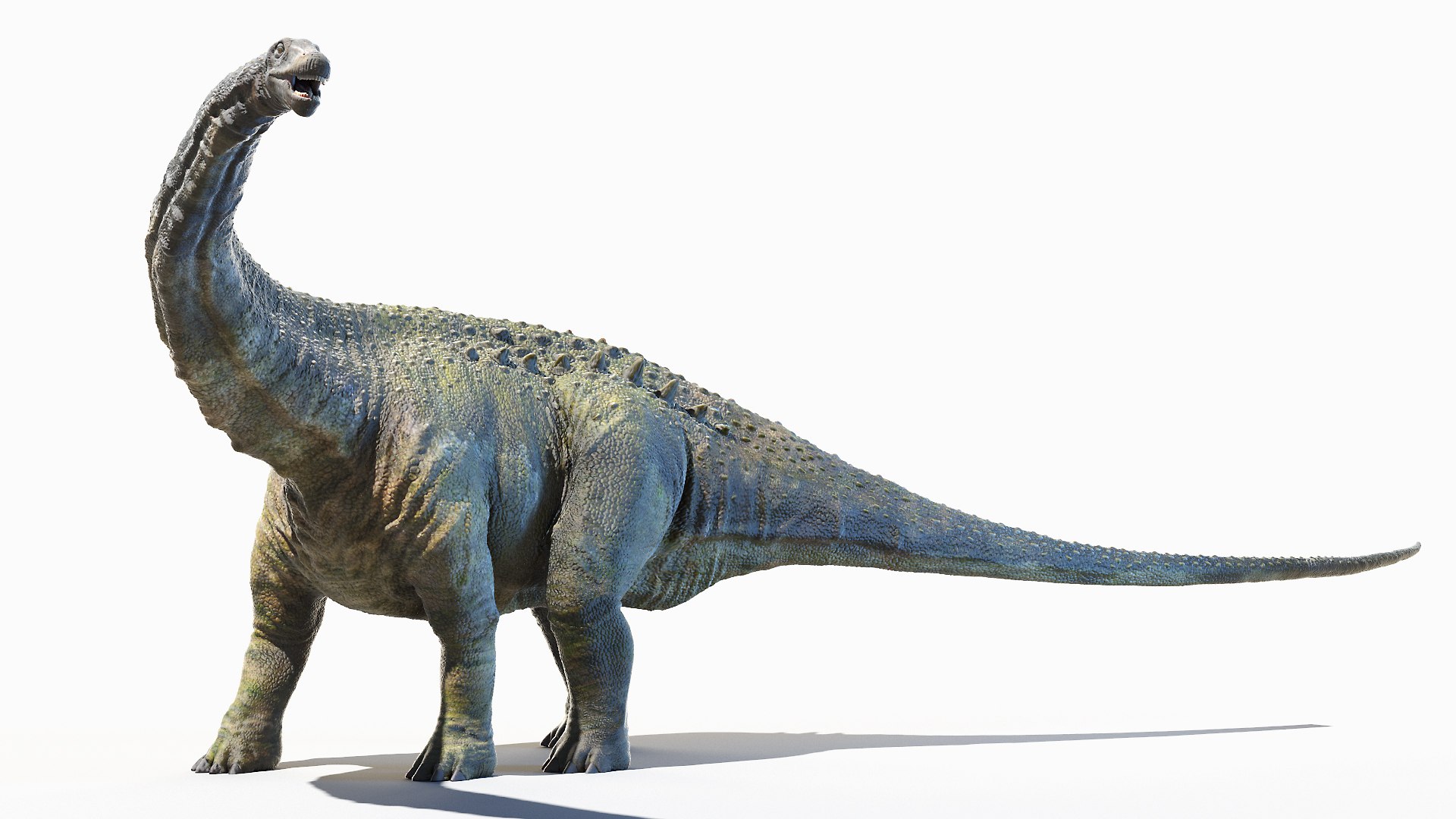 Apatosaurus Animated 3D model - TurboSquid 1721414