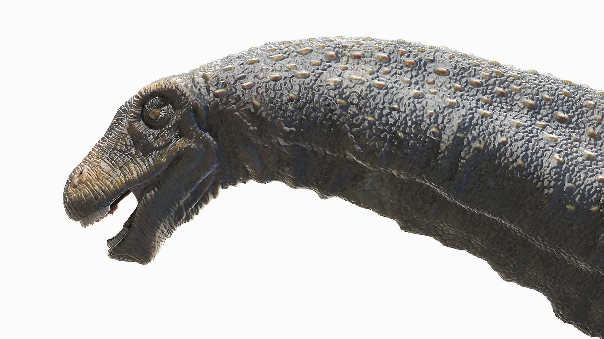 Apatosaurus Animated 3D Model - TurboSquid 1721414