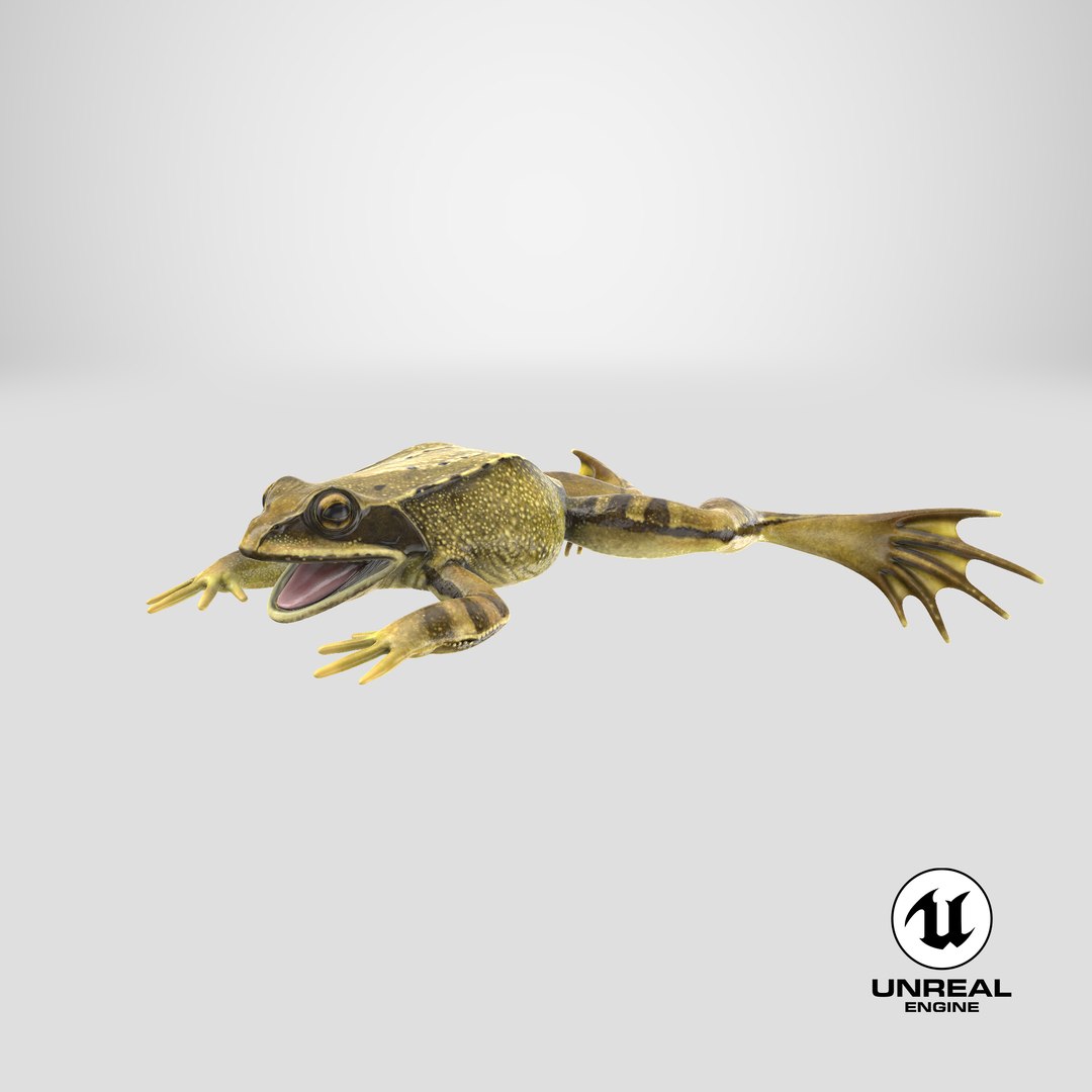 Frog A Pose 3D model - TurboSquid 2074681