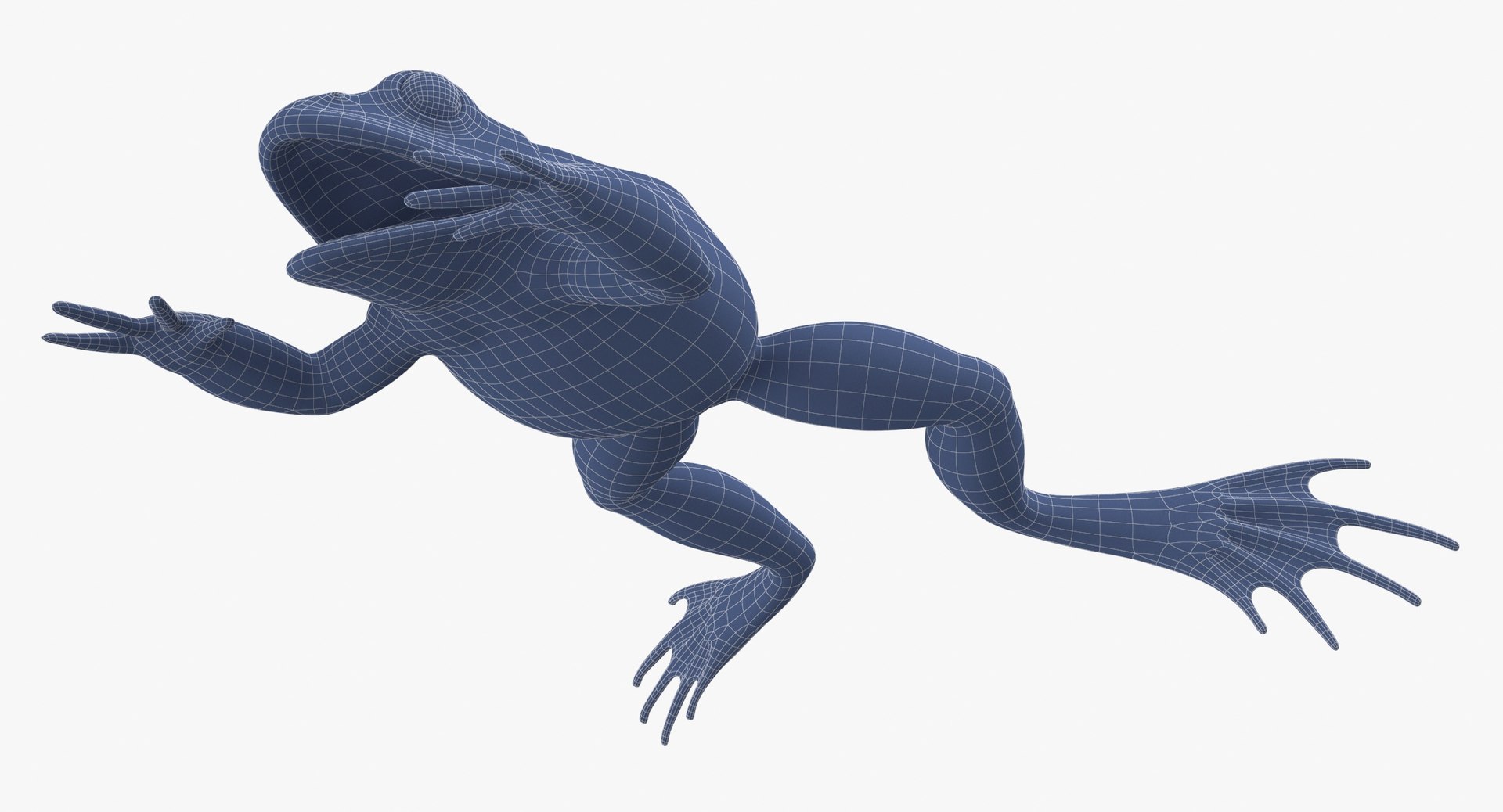 Frog A Pose 3D Model - TurboSquid 2074681