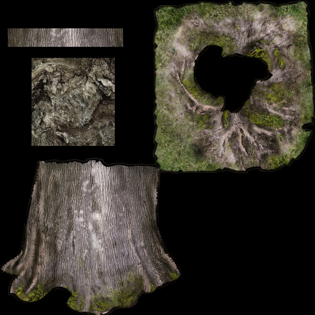 3d Tree Stump