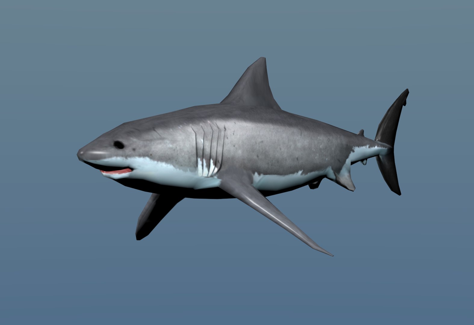Shark 3D Model | 1142096 | TurboSquid