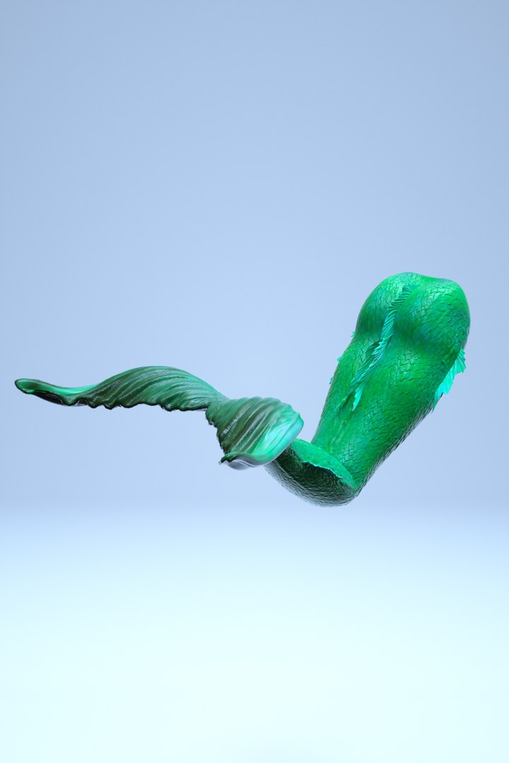 Mermaid Tail 3D Model - TurboSquid 1180682