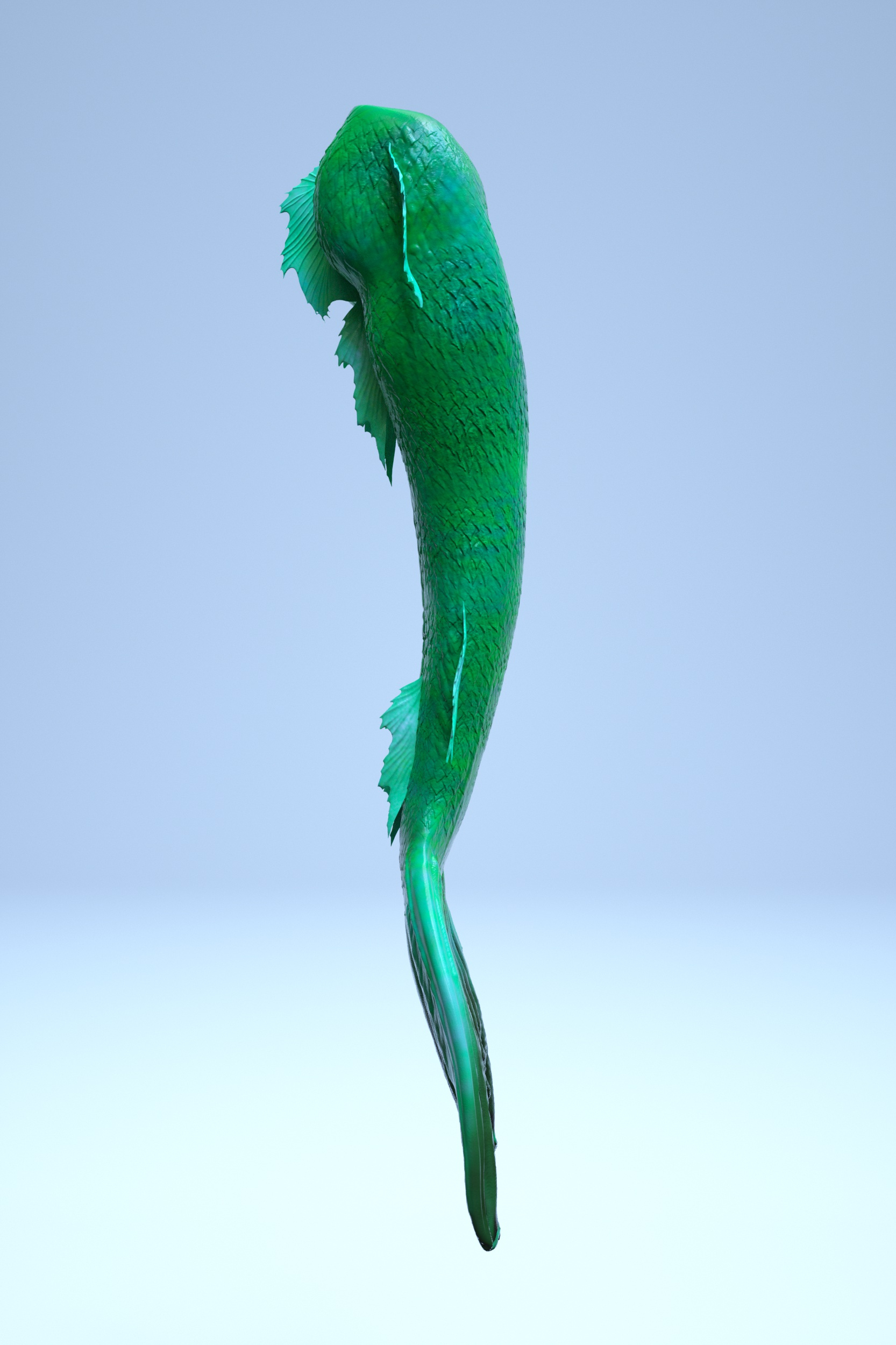 Mermaid tail 3D model - TurboSquid 1180682
