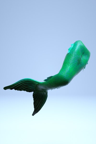 Mermaid tail 3D model - TurboSquid 1180682