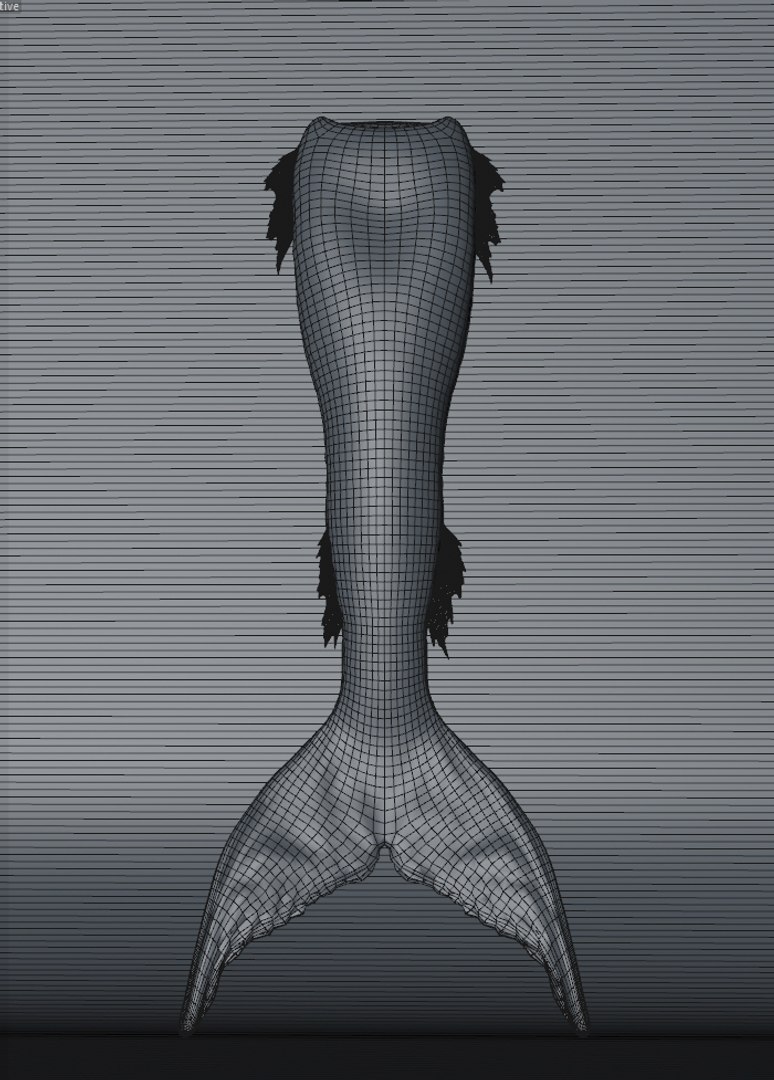 Mermaid Tail 3D Model - TurboSquid 1180682