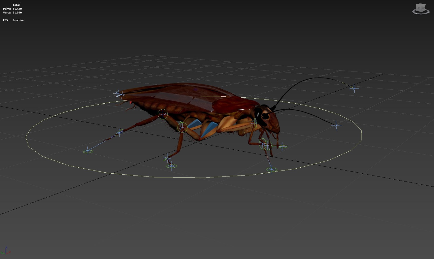 3D Cockroach Model Rigged Animated - TurboSquid 2081559