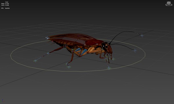 modelo 3d Cockroach Model Rigged Animated - TurboSquid 2081559
