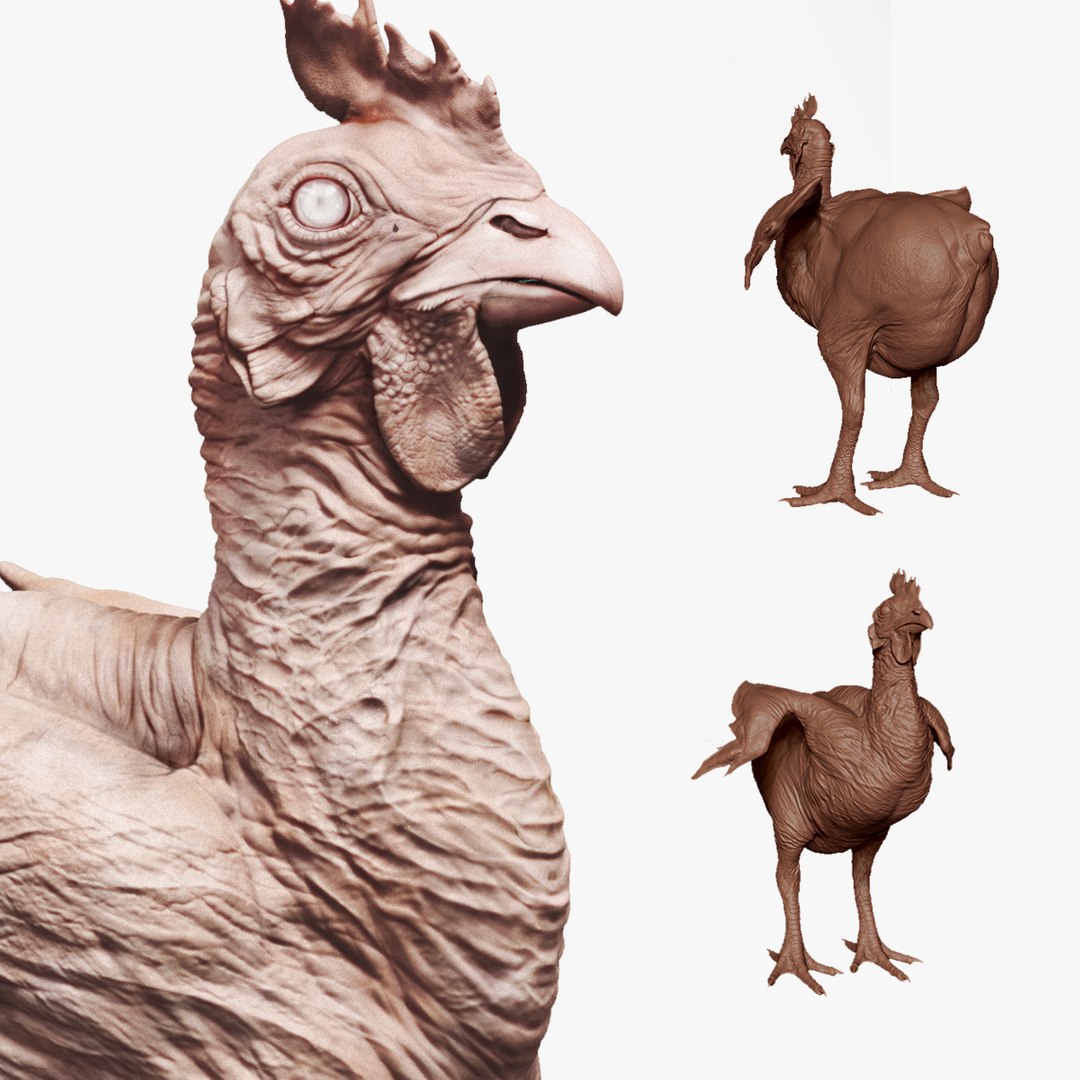 3D Chicken - TurboSquid 1791095