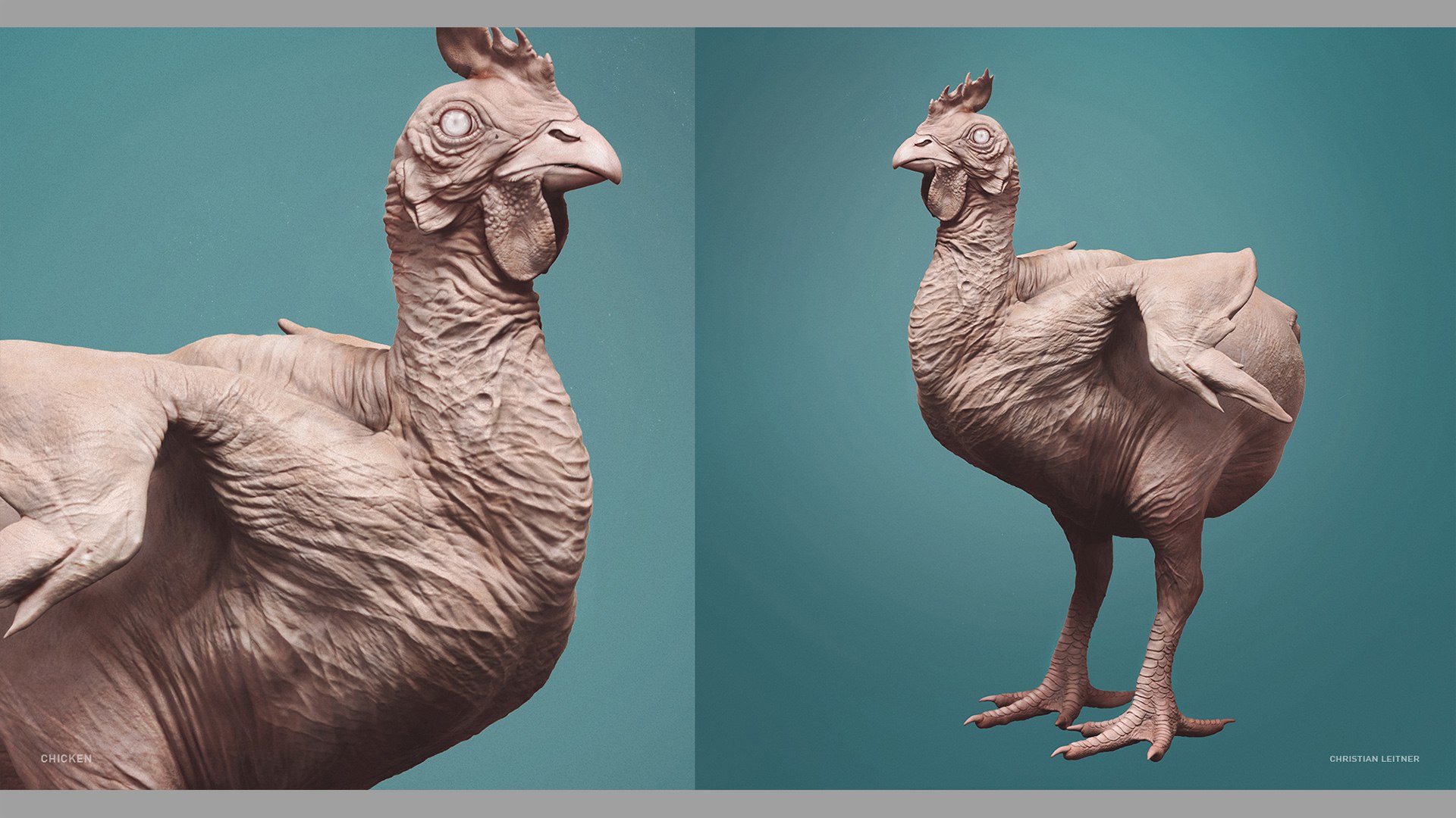 3D Chicken - TurboSquid 1791095