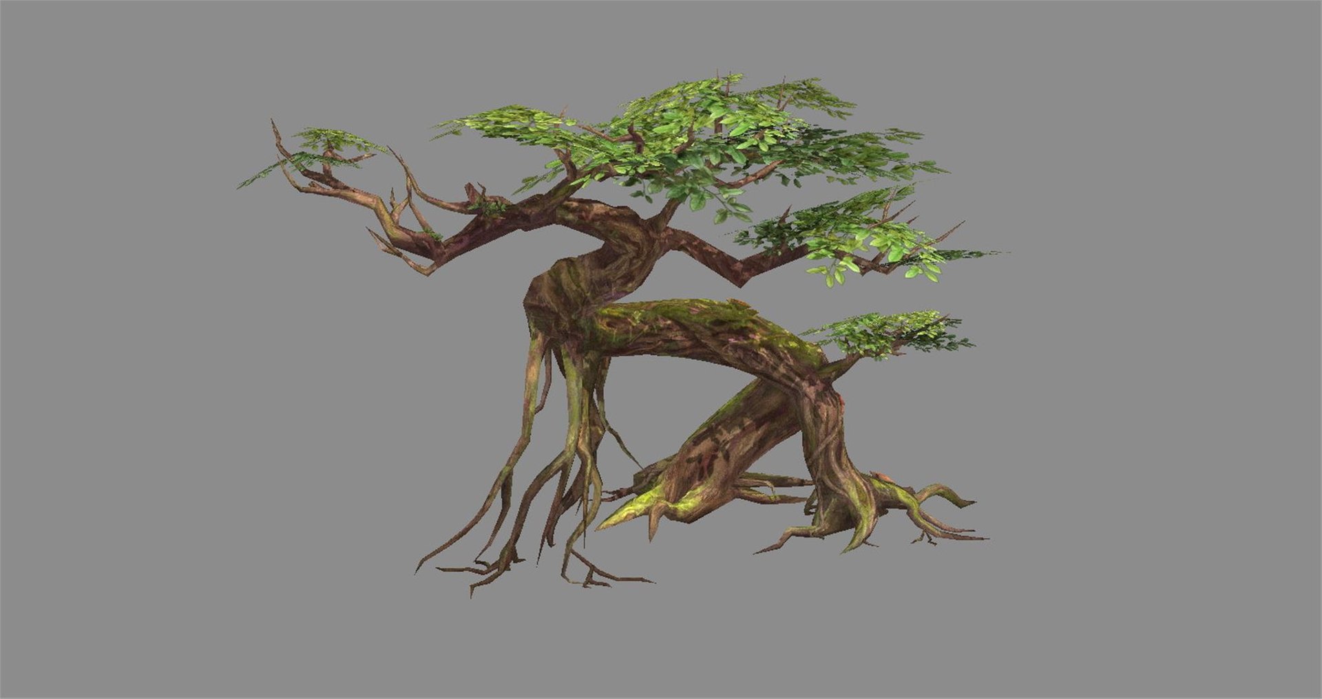 Curved Vines - Swamp Trees - Jungle Roots - Pine 3D Model - TurboSquid ...