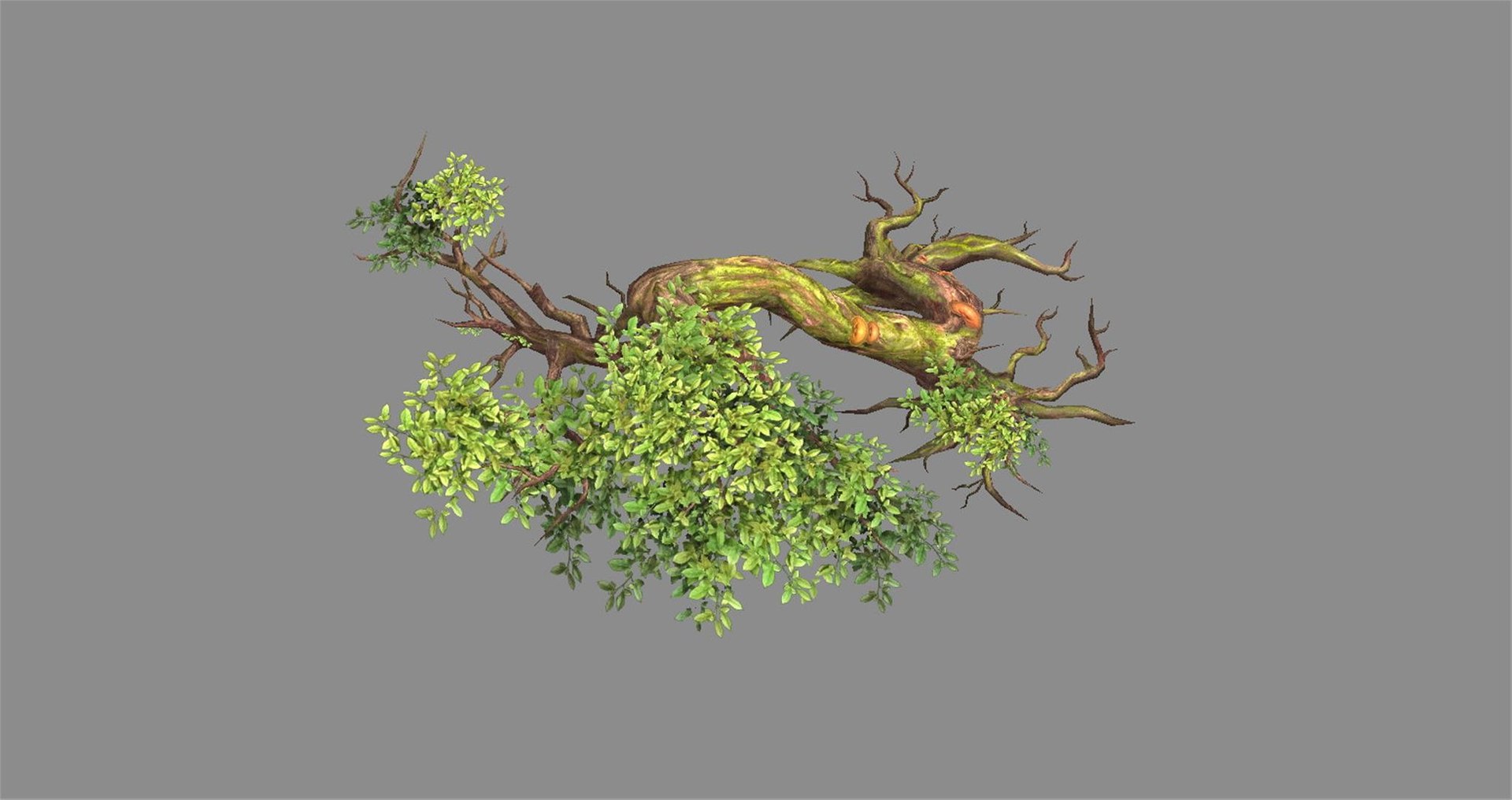 Curved Vines - Swamp Trees - Jungle Roots - Pine 3D Model - TurboSquid ...