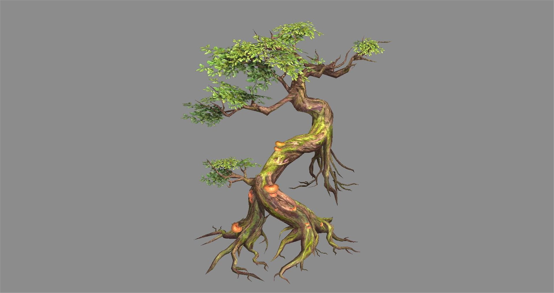 Curved Vines - Swamp Trees - Jungle Roots - Pine 3D Model - TurboSquid ...